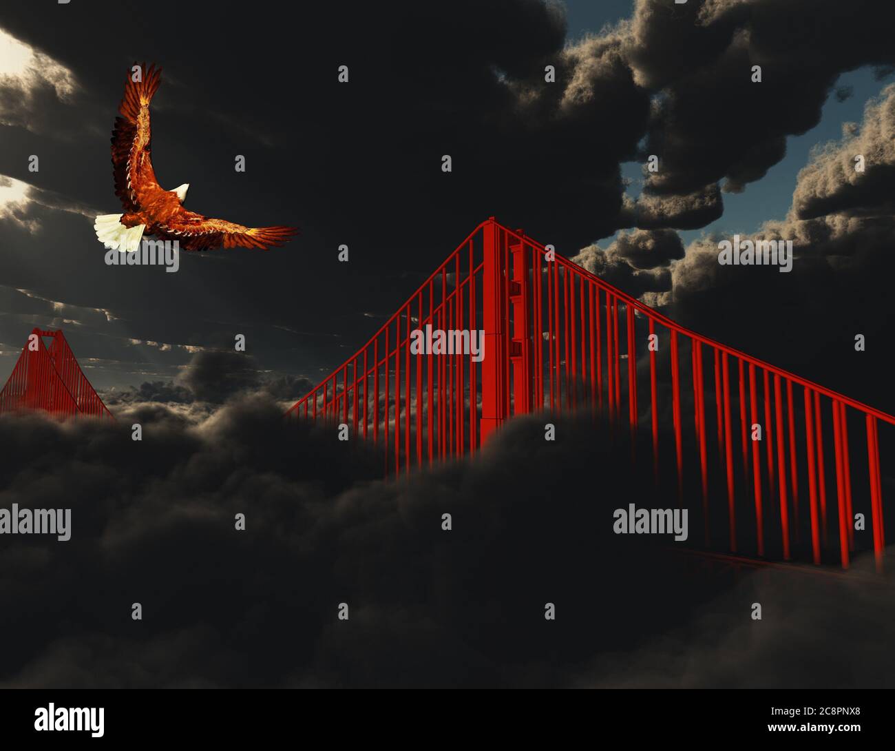 Eagle in Flight Stock Photo - Alamy