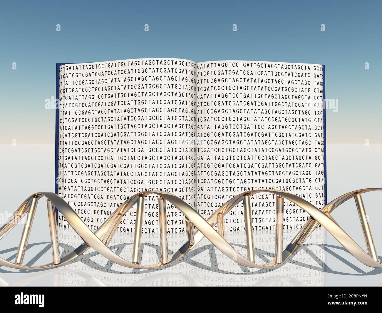 Book of Life Stock Photo - Alamy