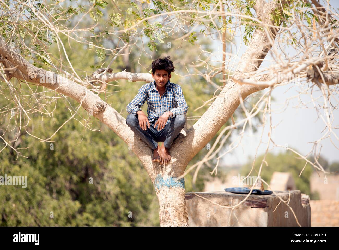 A young Bhil tribe boy sitting in a tree in his small, rural village in ...