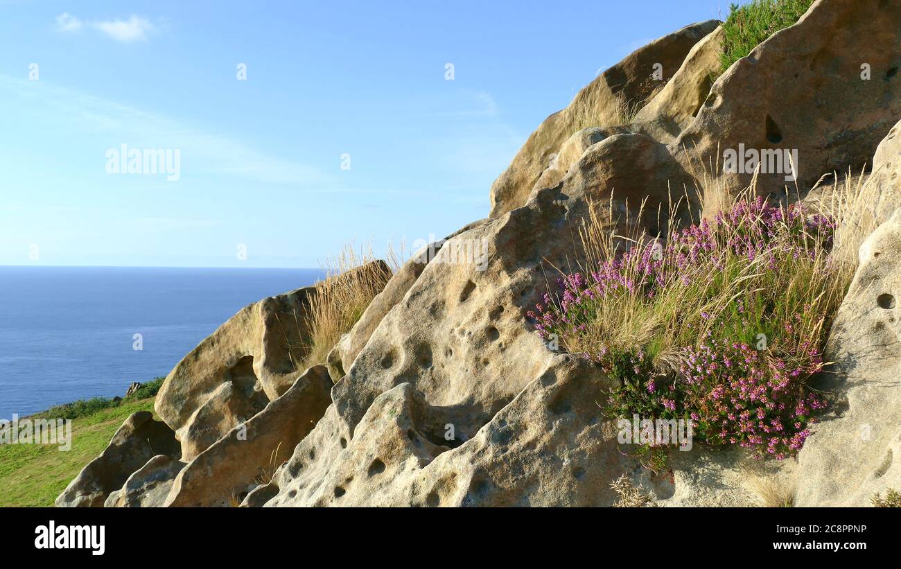 Large stone with erosions and plants in the mountains, Basque Country ...