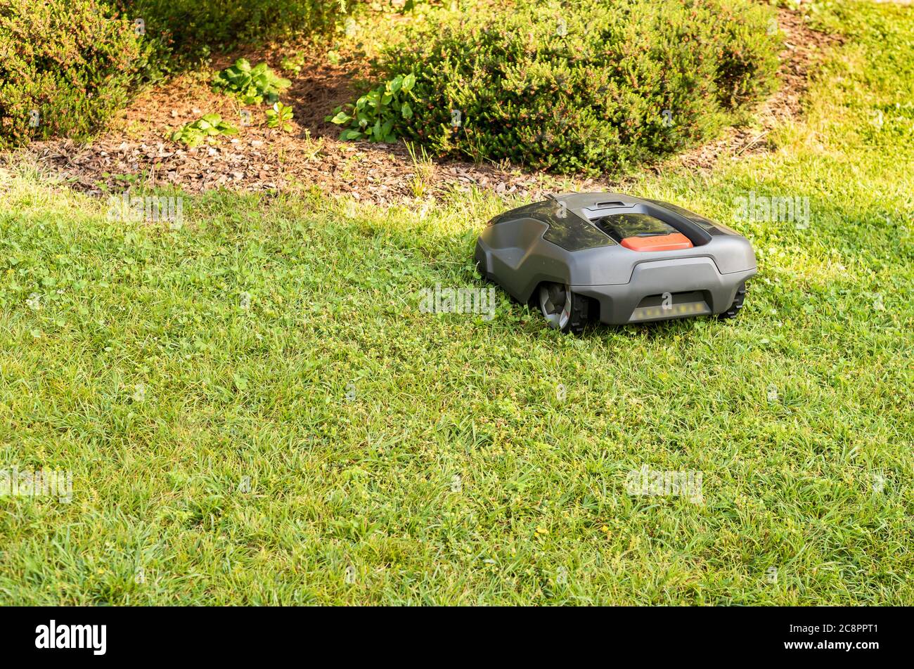 Robotic Lawn Mower cutting grass in the garden Stock Photo - Alamy