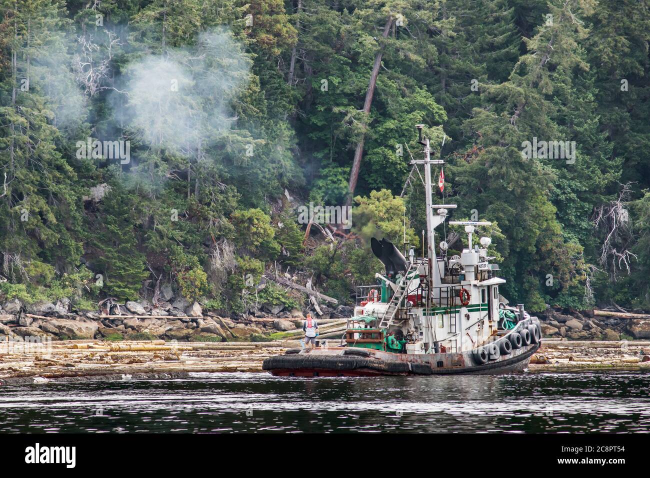 The Canadian tugboat "Hustler II" pushes log booms in close to shore ...