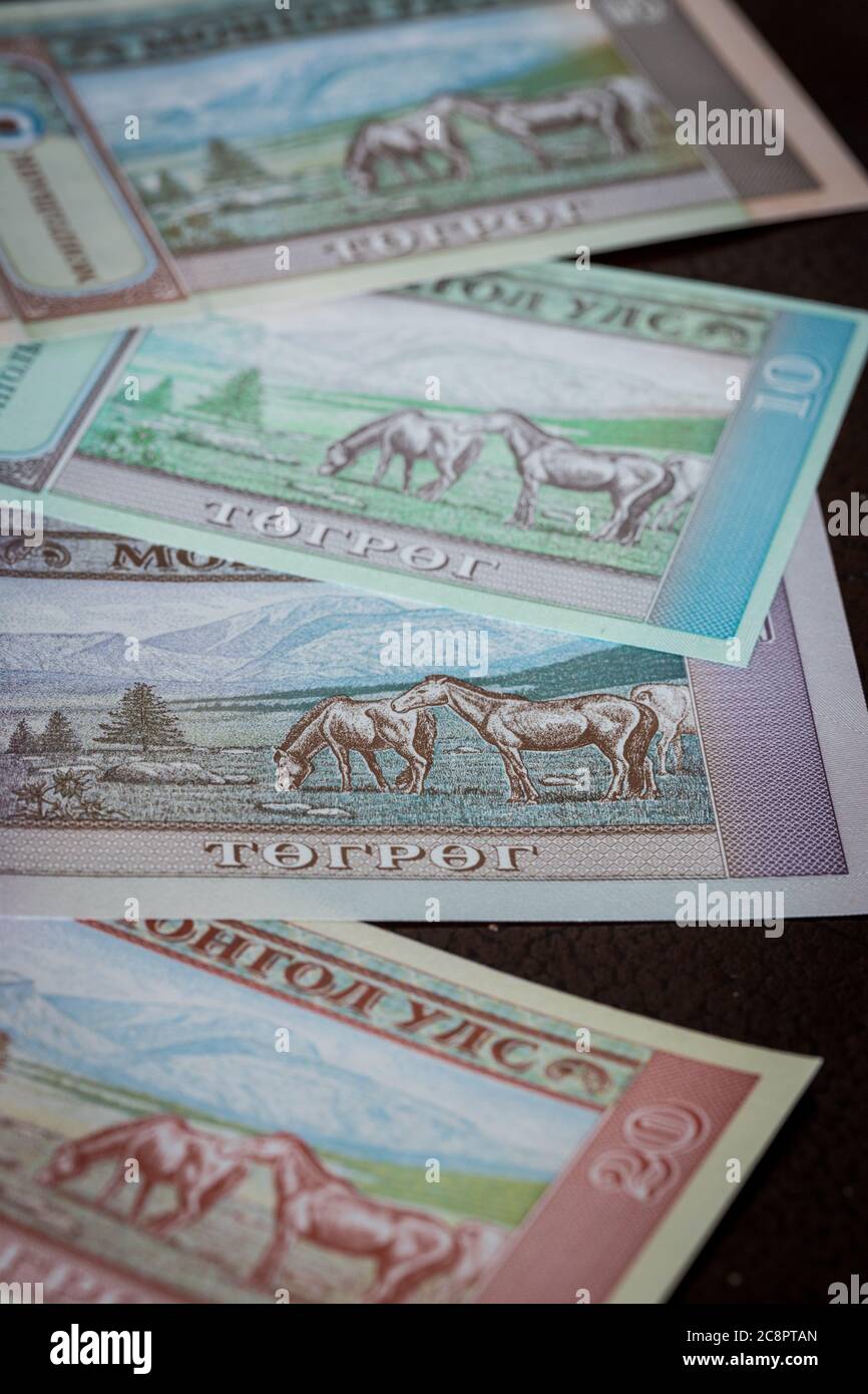 Mongolia currency, Tugrik money, Various banknotes Stock Photo - Alamy