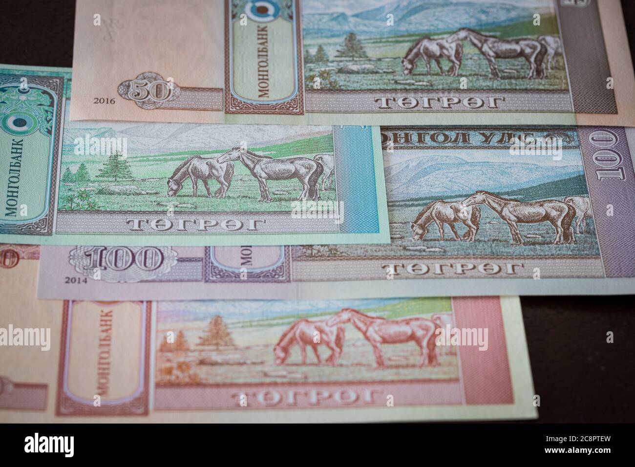 Mongolia currency, Tugrik money, Various banknotes Stock Photo - Alamy