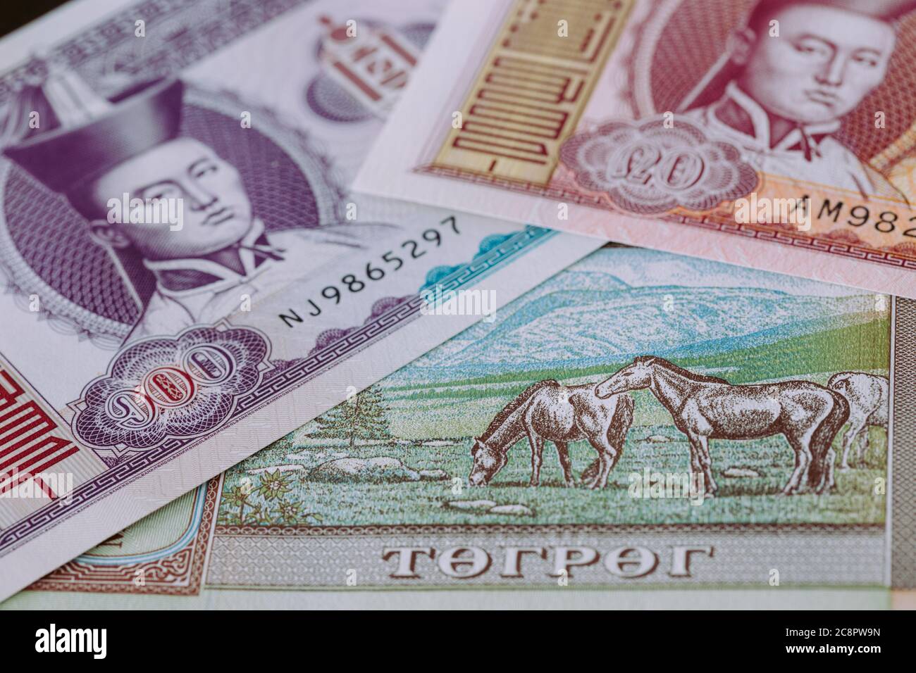 Mongolia currency, Tugrik money, Various banknotes Stock Photo - Alamy