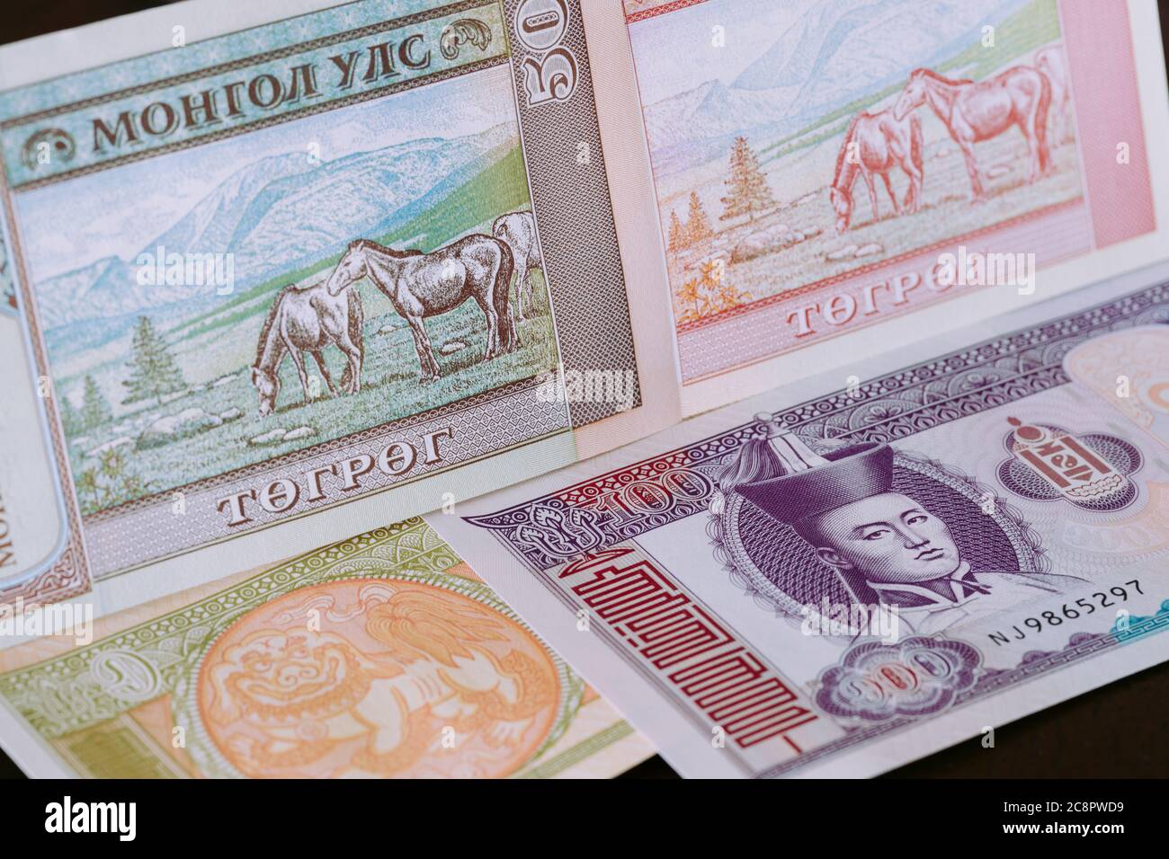 Mongolia currency, Tugrik money, Various banknotes Stock Photo - Alamy