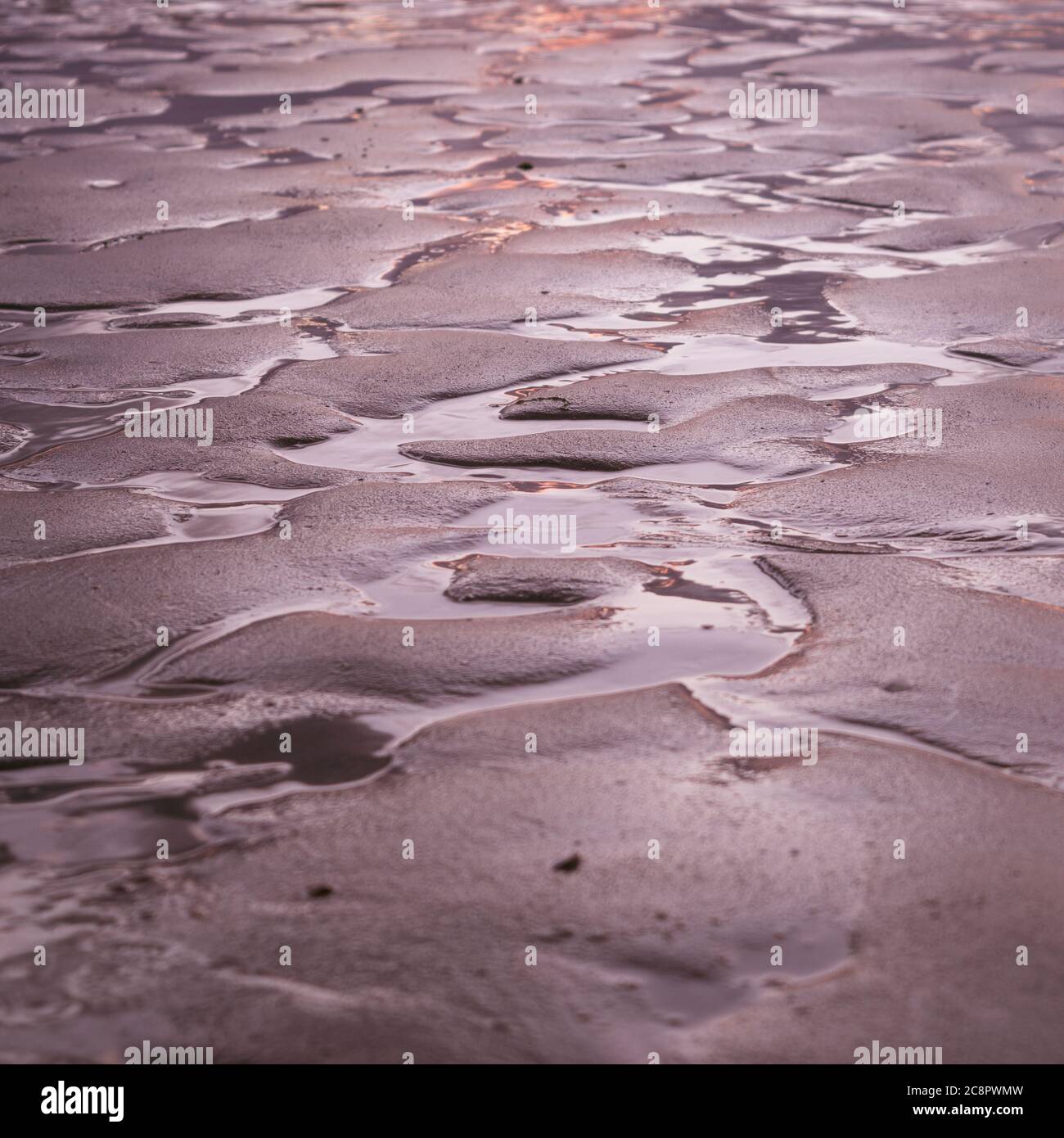 Wet beach and water puddles lit by a setting sun causing a soft pink ...