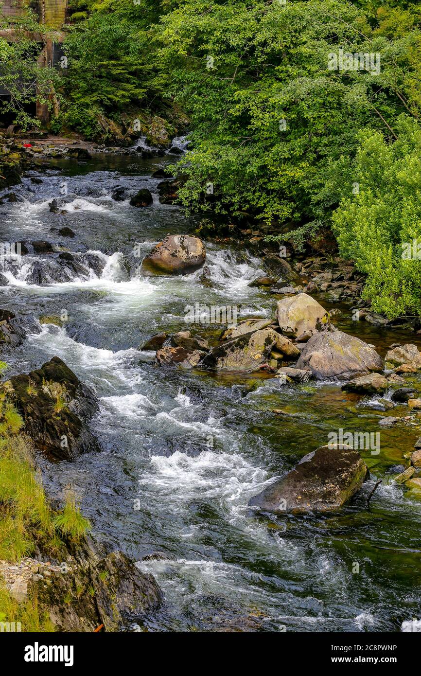 River running through Creek street in Ketchikan, Alaska, the salmon ...