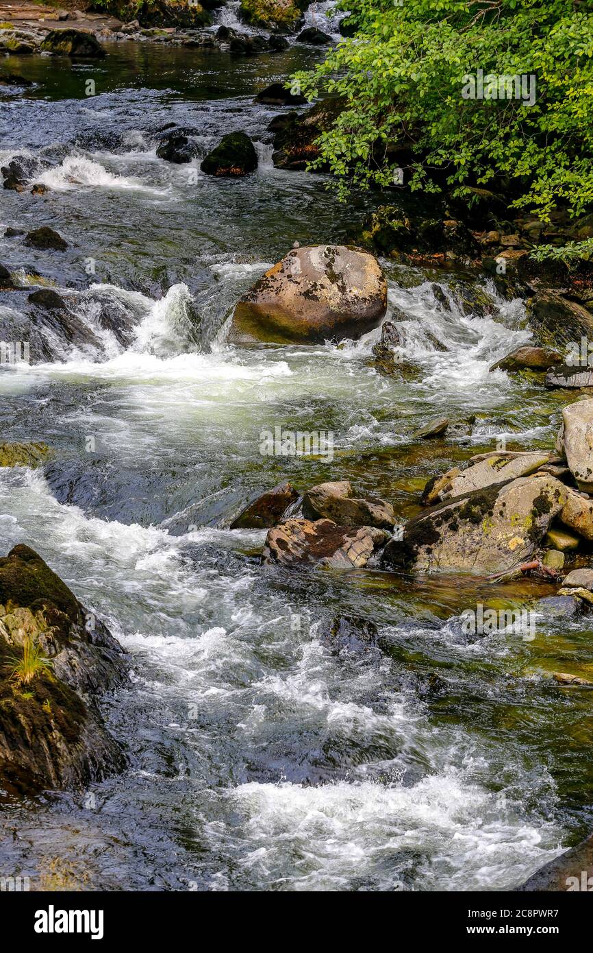 River running through Creek street in Ketchikan, Alaska, the salmon ...