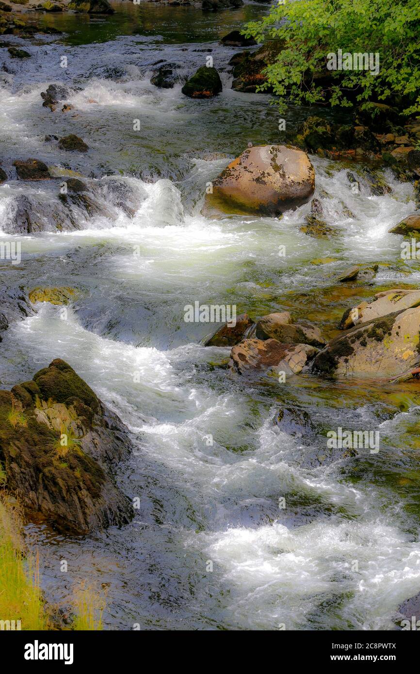 River running through Creek street in Ketchikan, Alaska, the salmon ...