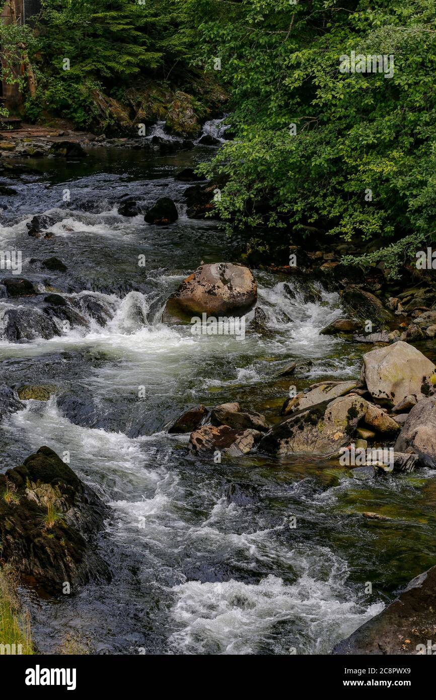 River running through Creek street in Ketchikan, Alaska, the salmon ...