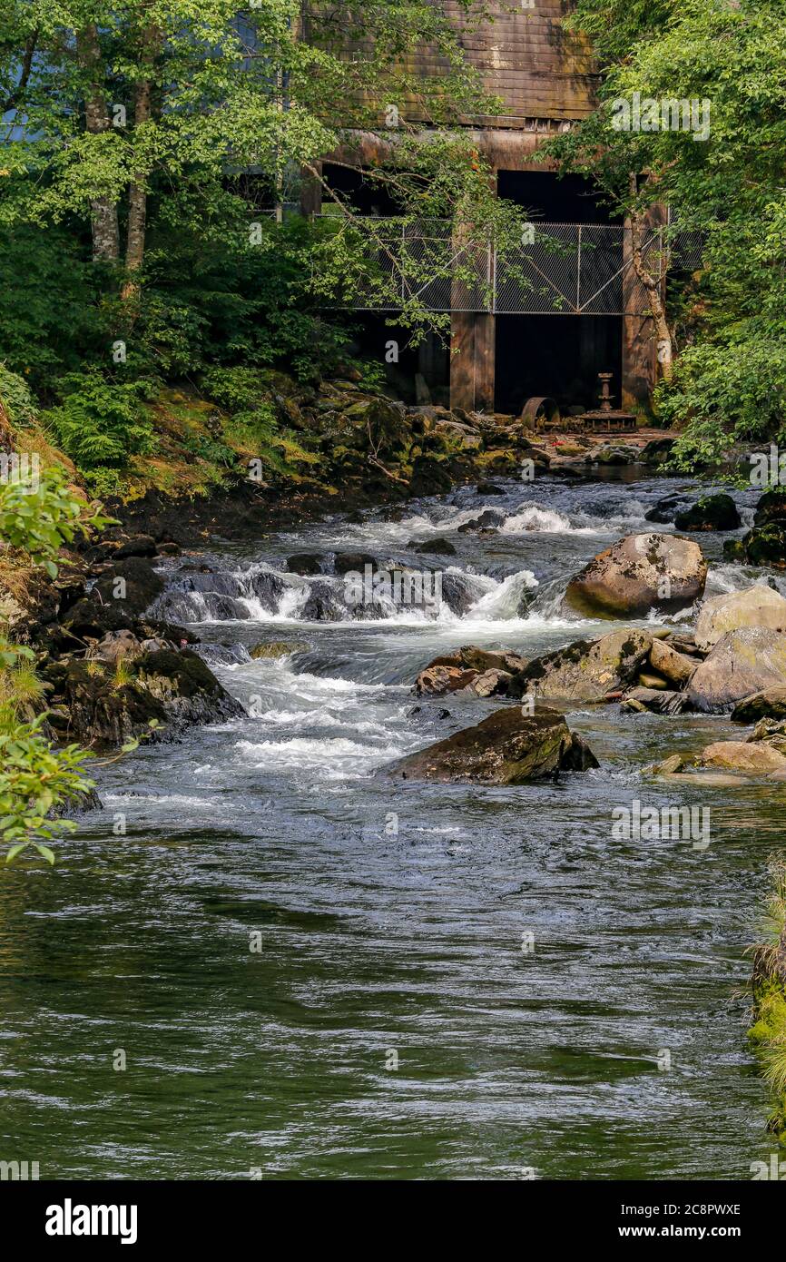 River running through Creek street in Ketchikan, Alaska, the salmon ...