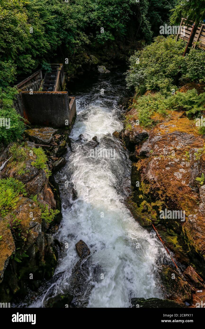 River running through Creek street in Ketchikan, Alaska, the salmon ...