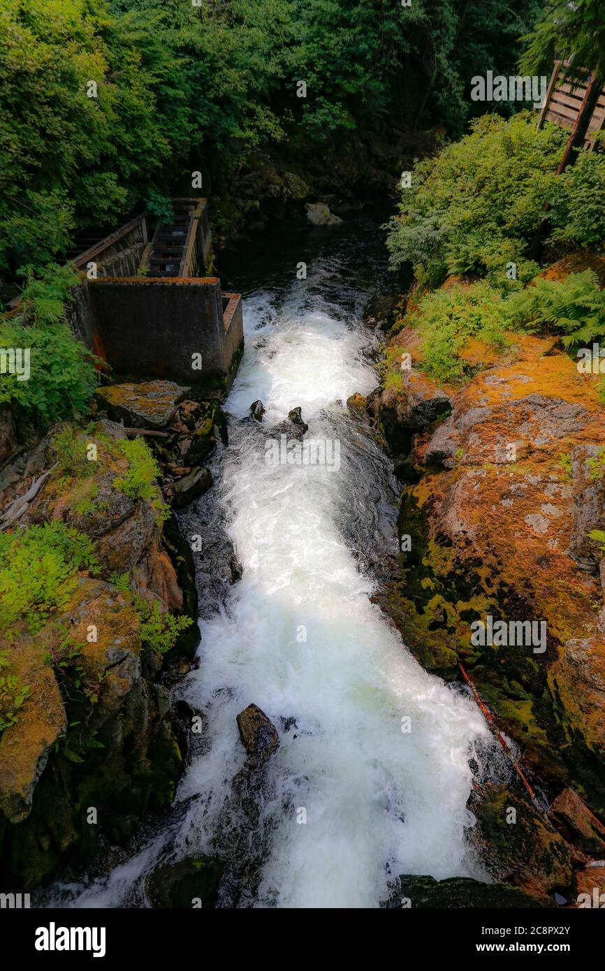 River running through Creek street in Ketchikan, Alaska, the salmon ...