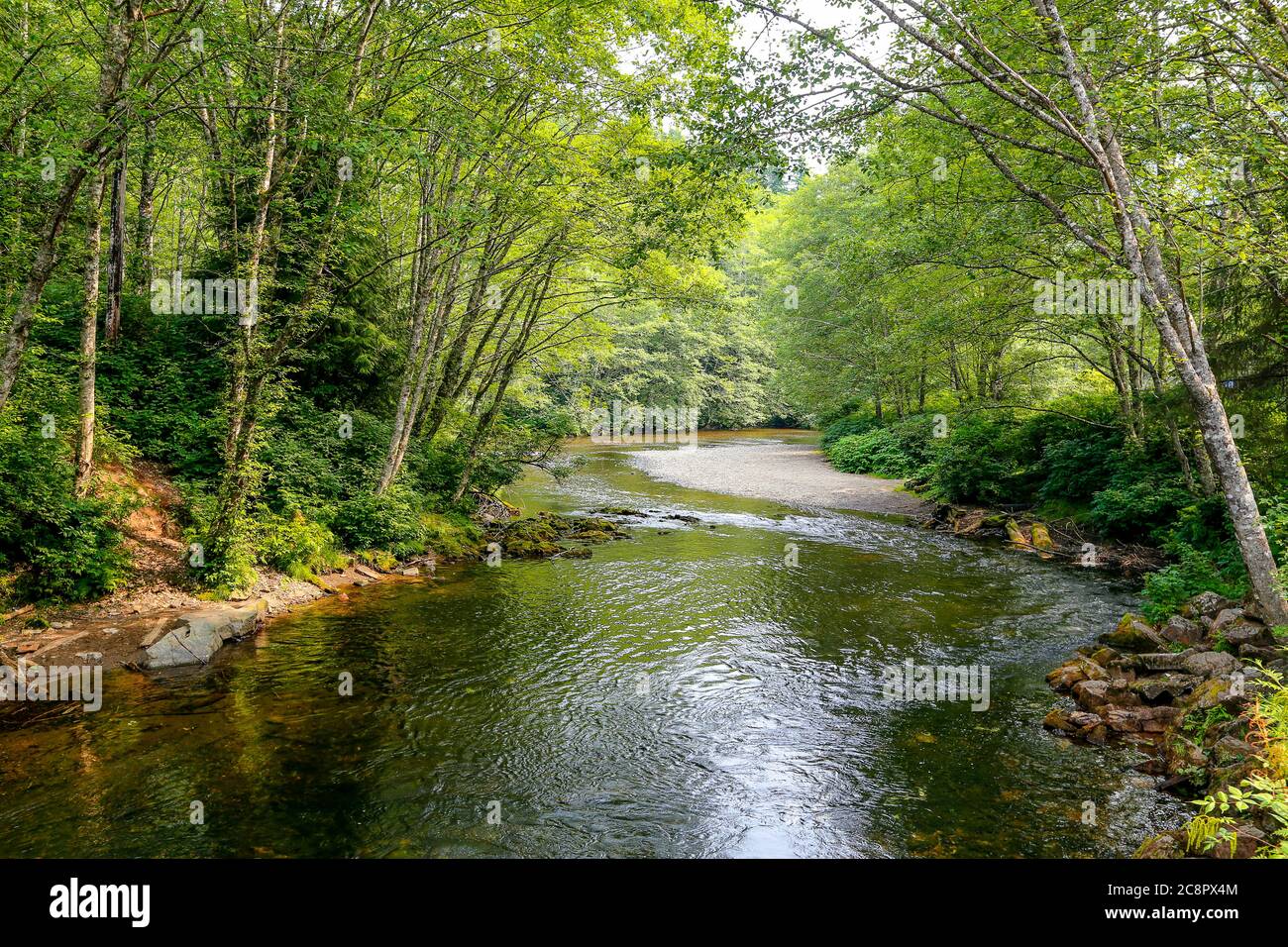 Quiet river near Ketchikan, Alaska, the salmon capital of the world ...