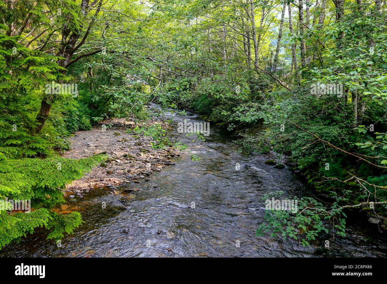 Ketchikan salmon capital of the world hi-res stock photography and ...