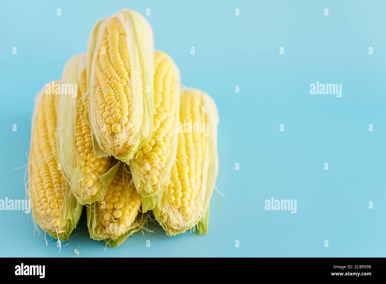 vegetables and fruits, agriculture, gastronomy, harvest concept ...