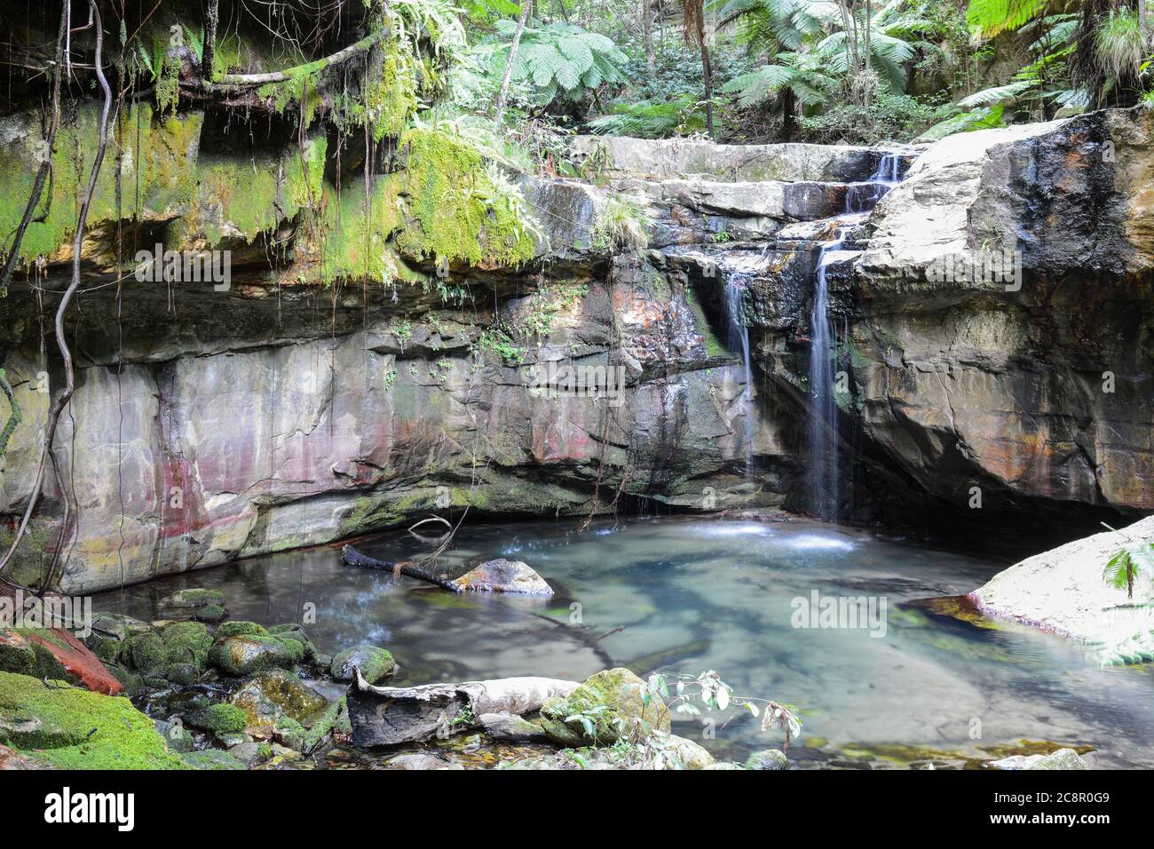 Moss garden carnarvon gorge australia hi-res stock photography and ...