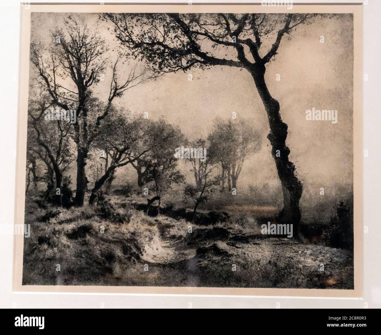 Pictorialism in photography (half of the 19th century Stock Photo - Alamy