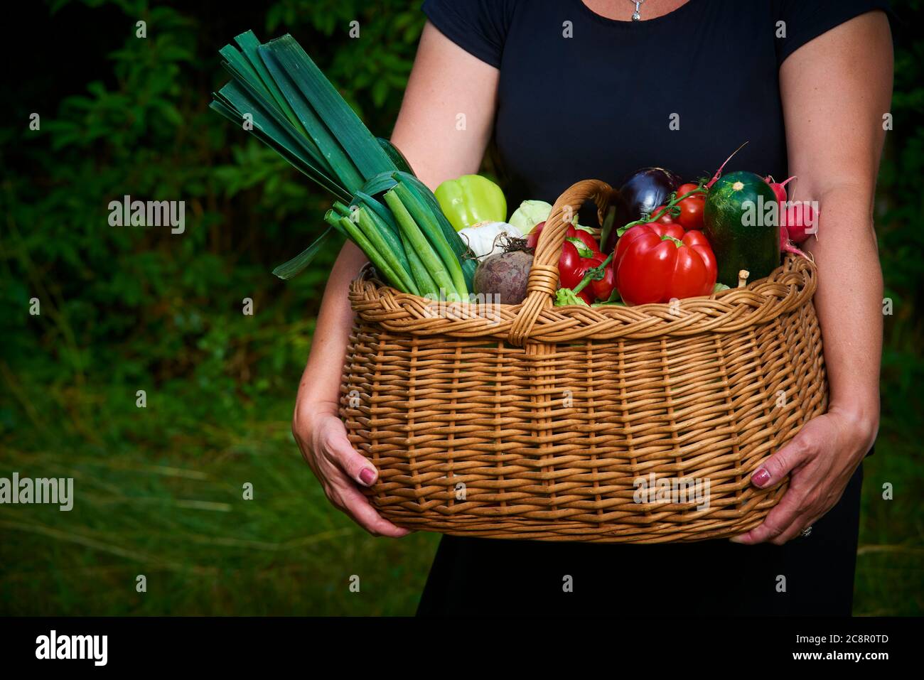 Hand full of vegetables hi-res stock photography and images - Alamy