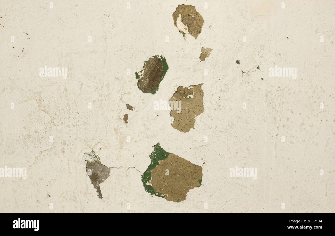 Wall paint peeling off due to moisture problems on wallcovering, need ...