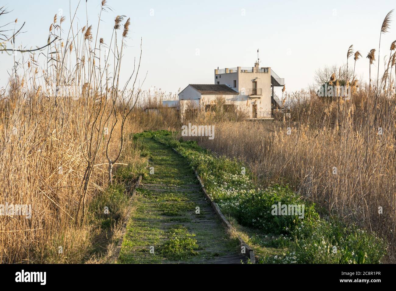Tancat de la Pipa Albufera Valencia, touristic ride. old rice field ...