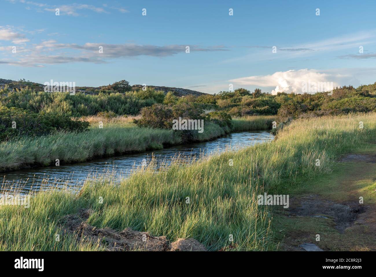 Orust Island High Resolution Stock Photography and Images - Alamy