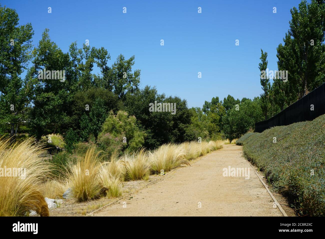 Exercise fresh hi-res stock photography and images - Alamy