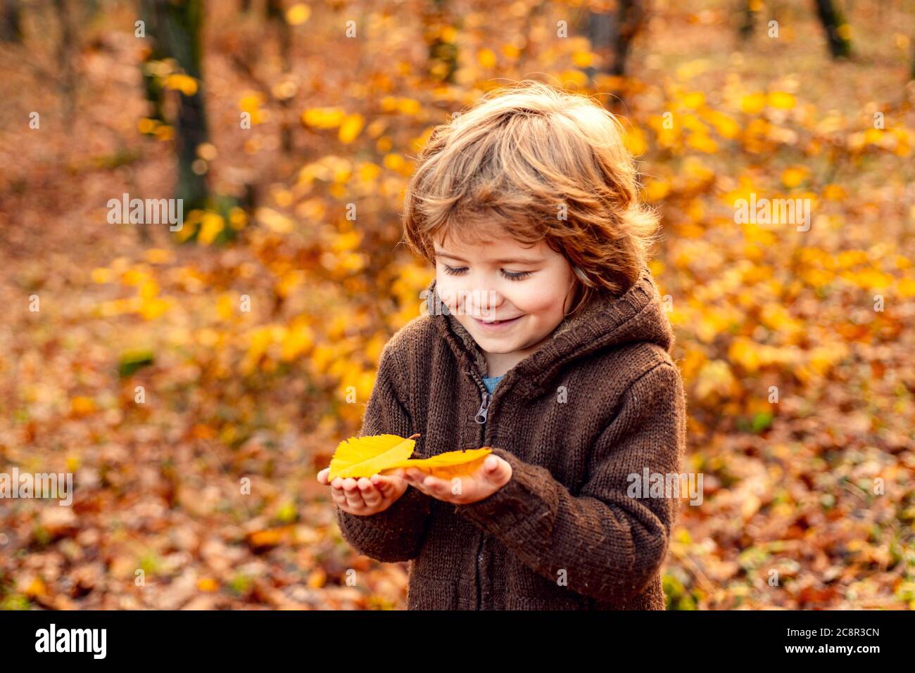 Autumn portrait of cute little boy. Happy kids playing and dreams ...