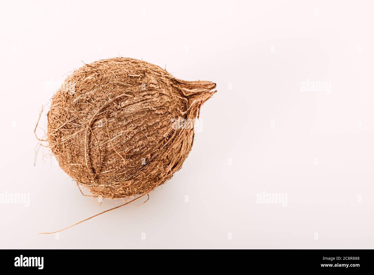 Casunut hi-res stock photography and images - Alamy