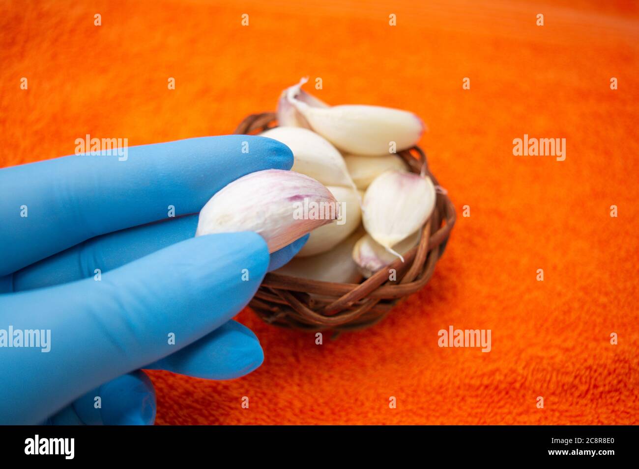 Hand in blue latex medical glove with Cloves of raw Garlic in wooden ...