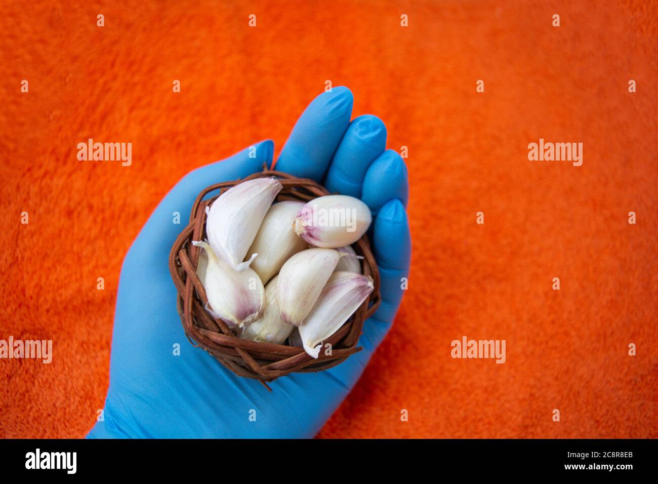 Hand in blue latex medical glove with Cloves of raw Garlic in wooden ...