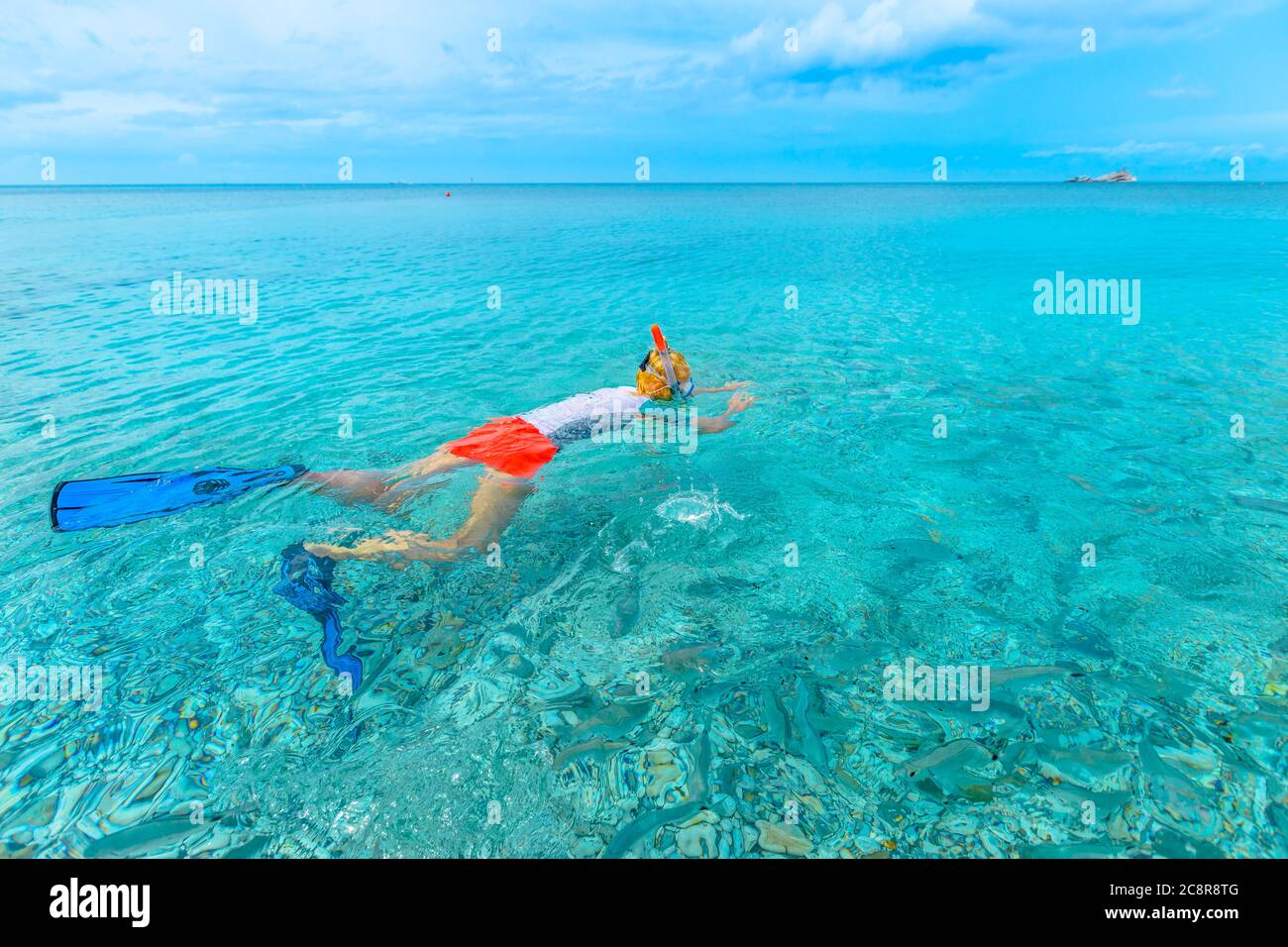 Snorkeling woman in wetsuit and fins in turquoise clear waters of Le ...