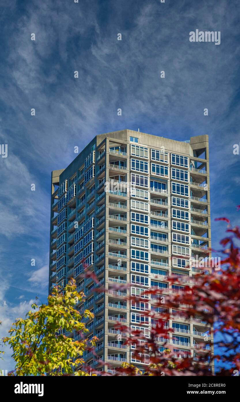 Concrete Condo Past Trees Stock Photo - Alamy