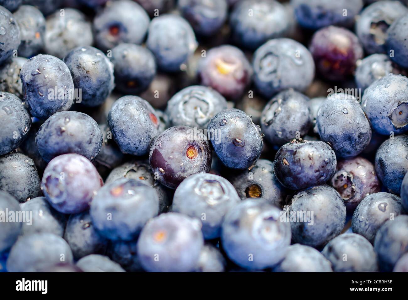 Close up view of blueberries washed with water Stock Photo - Alamy