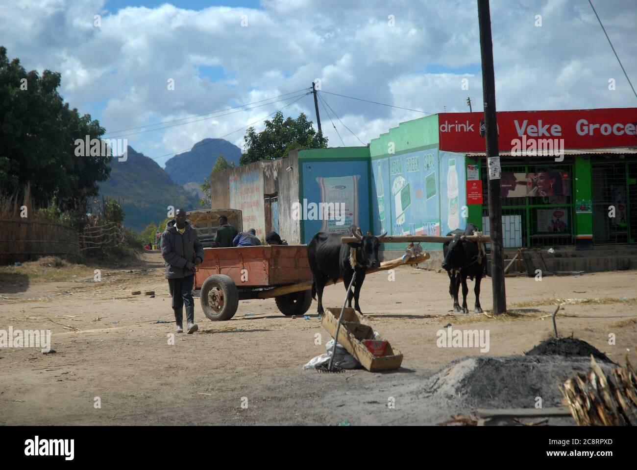 Cattle pulling wooden cart along dirt track, Malawi, Africa Stock Photo ...