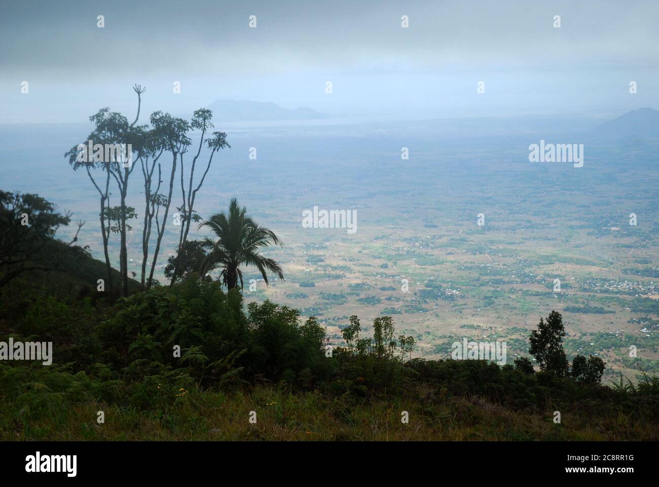 African man carrying load on hi-res stock photography and images - Alamy