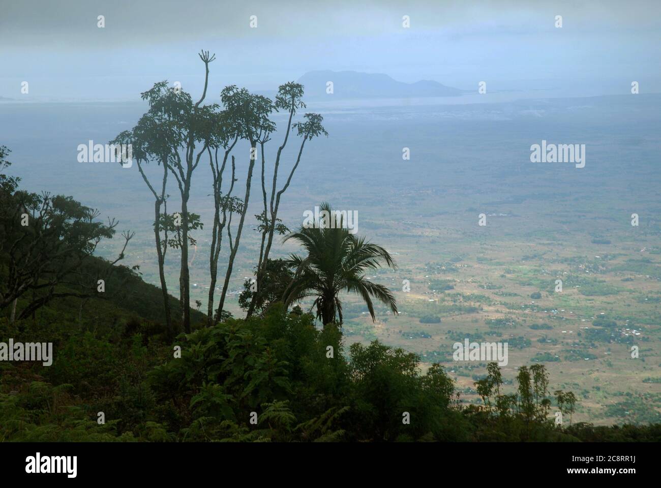 African man carrying load on hi-res stock photography and images - Alamy