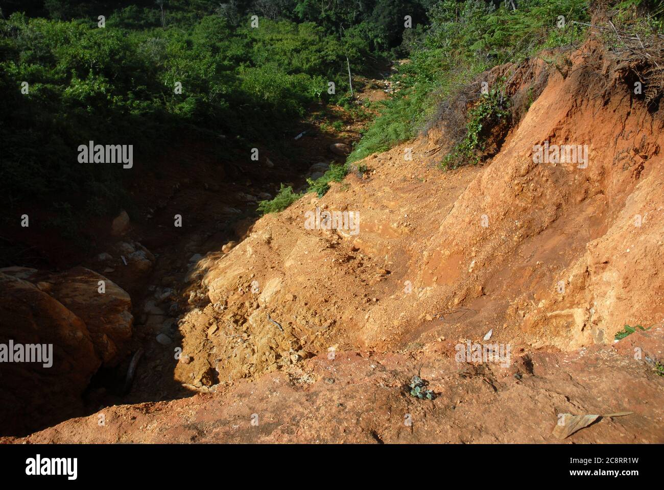 Erosion caused by illegal logging of timber on Zomba Plateau, Zomba ...