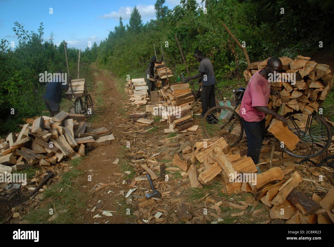 Chopping wood africa hi-res stock photography and images - Alamy