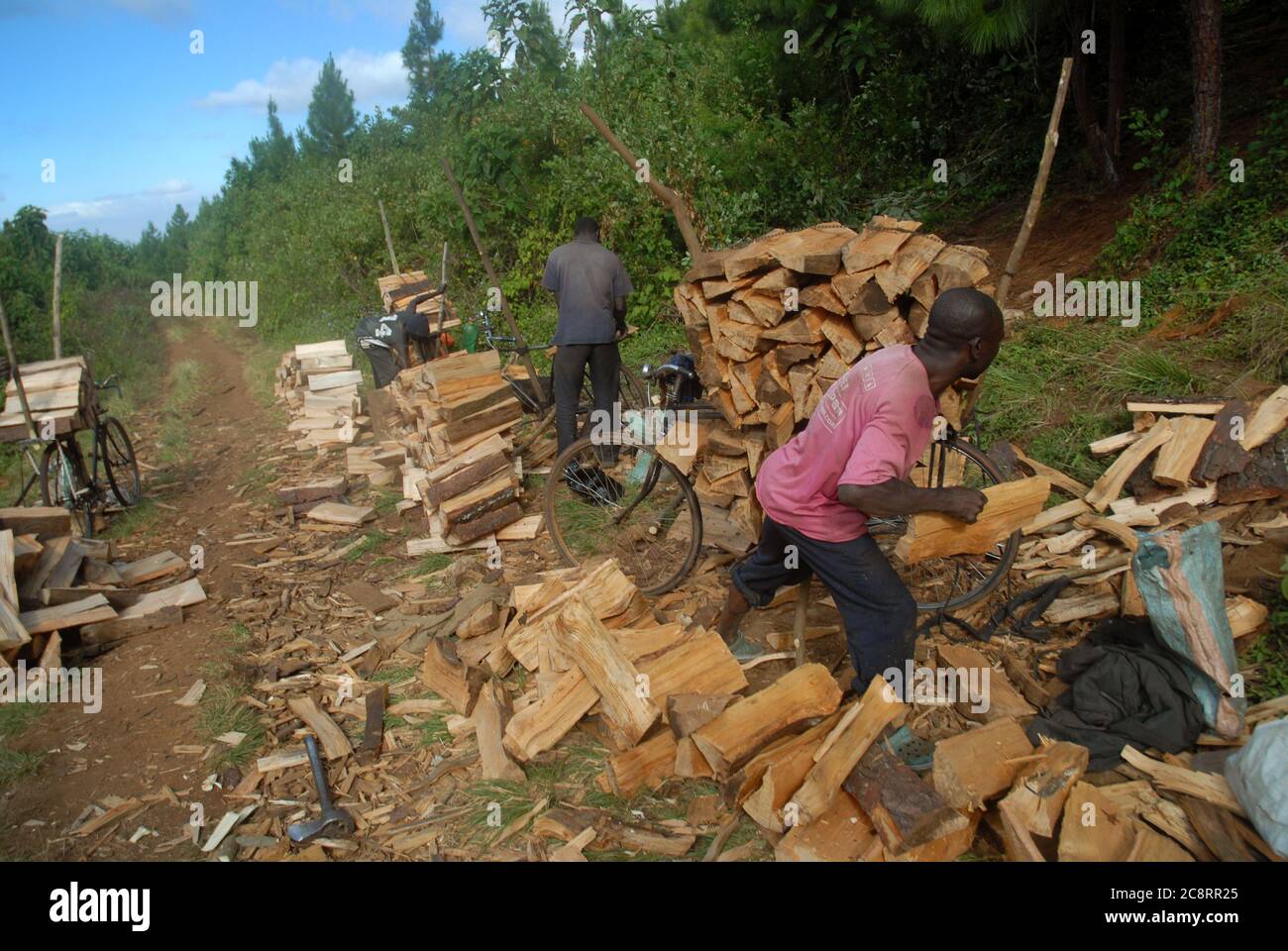 Chopping wood africa hi-res stock photography and images - Alamy