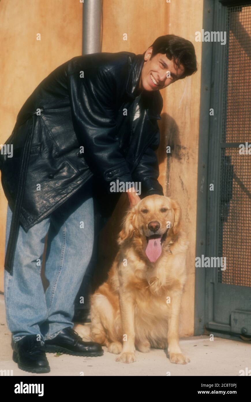 Golden retriever photoshoot hi-res stock photography and images - Alamy