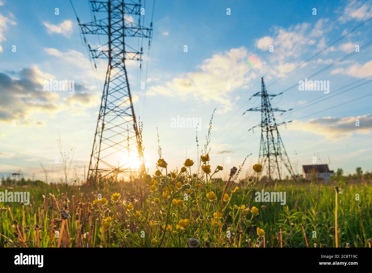 Electricity pylon power lines field hi-res stock photography and images ...