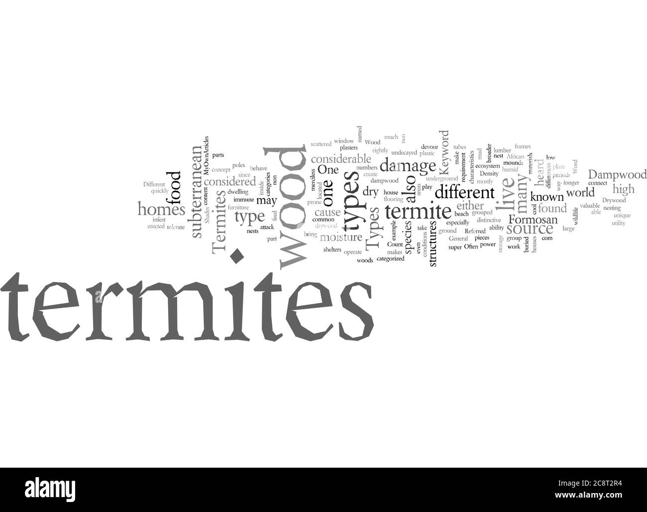 Termites Black and White Stock Photos & Images - Alamy