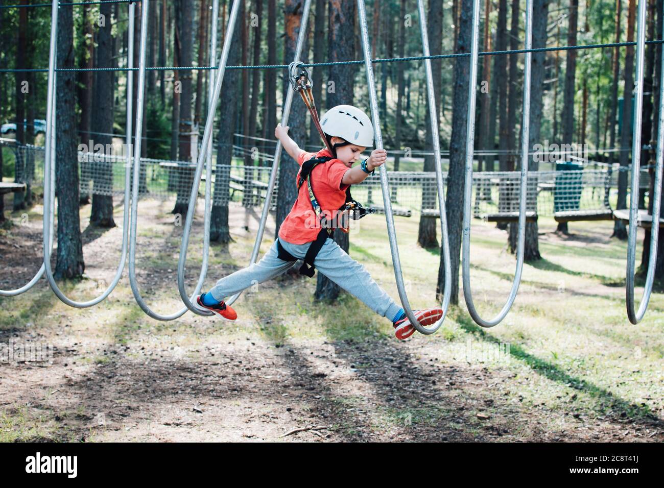 Little boy with climbing gear climbing rope trail between pine trees in ...