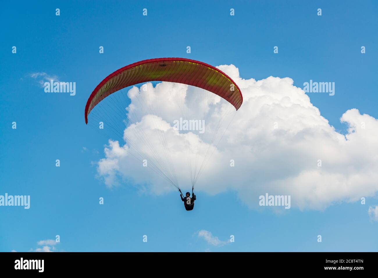 Canopy wing hi-res stock photography and images - Alamy