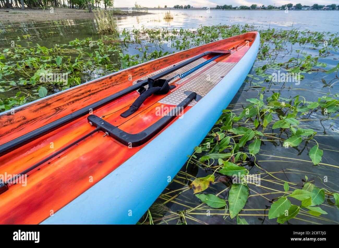 Long and narrow racing stand up paddleboard with a steering mechanism ...