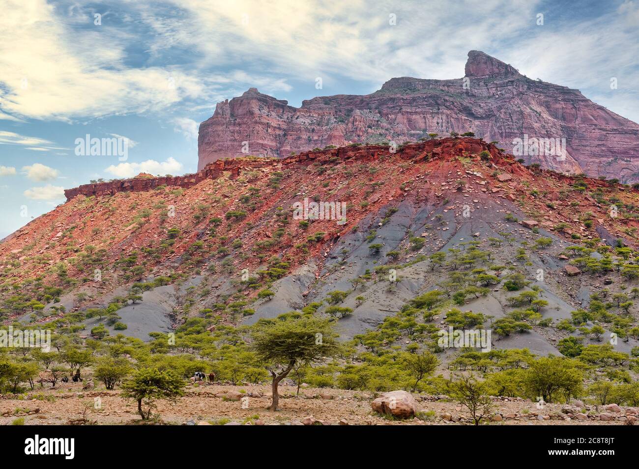 Tigray province hi-res stock photography and images - Alamy