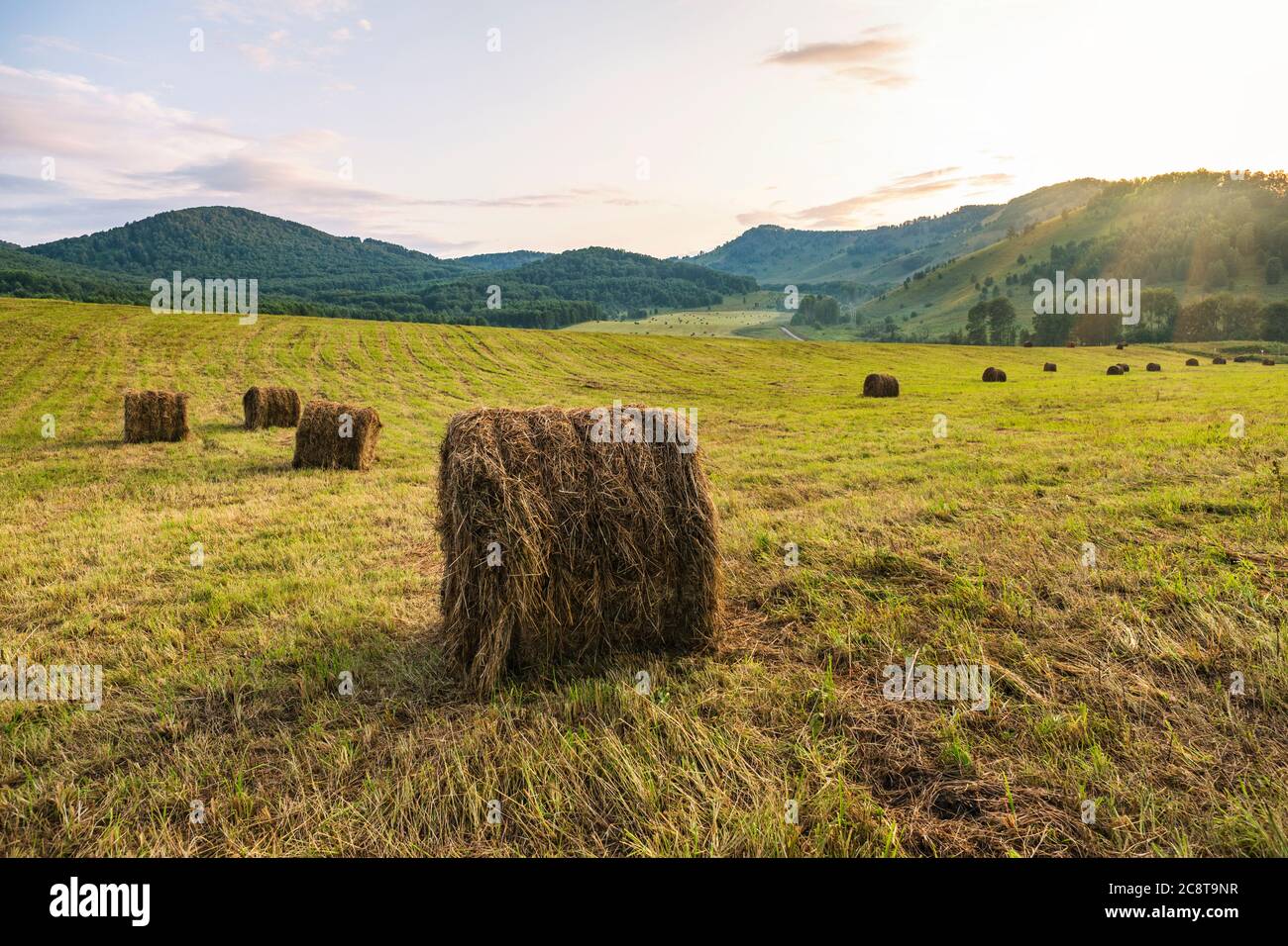 Hay bales mountains in background hi-res stock photography and images ...