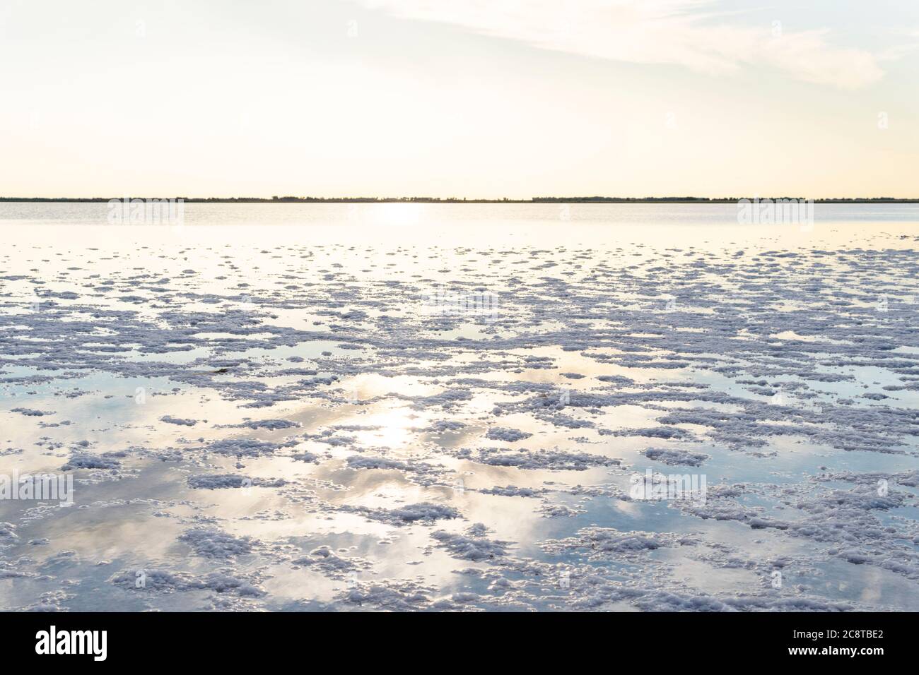 Landscape of the salt lake. salt water beach with accumulations of salt ...